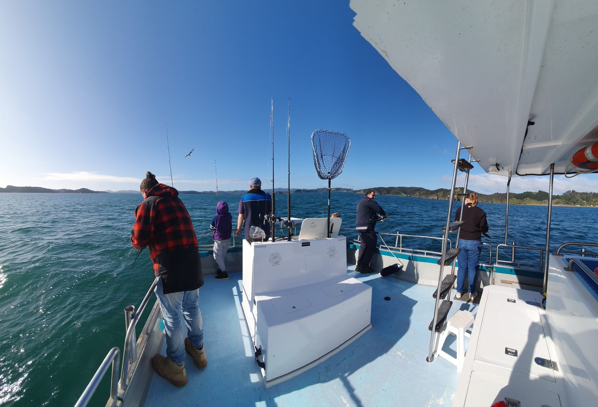 Fishing Charters Bay of Islands - Snapper, Kingfish and more